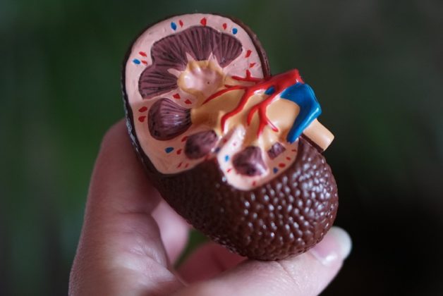 Renalytix announces publication of real-world evidence on KidneyIntelX test
