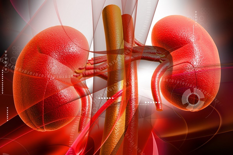 Antihypertensive drugs found to heighten acute kidney injury risk