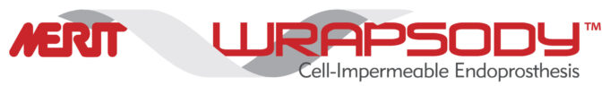 WRAPSODY Cell-Impermeable Endoprosthesis™: The next generation of ...