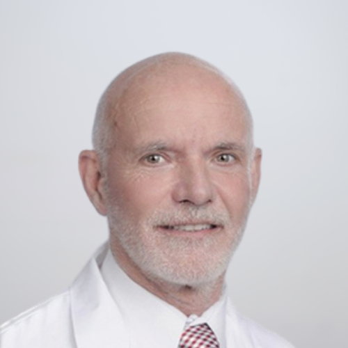 EndoForce Endovascular Anastomotic Connector: A novel approach for AVG ...