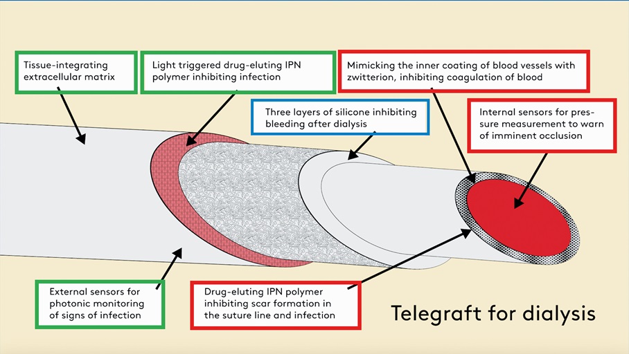 TELEGRAFT: The revolutionary artificial and sustainable graft for ...