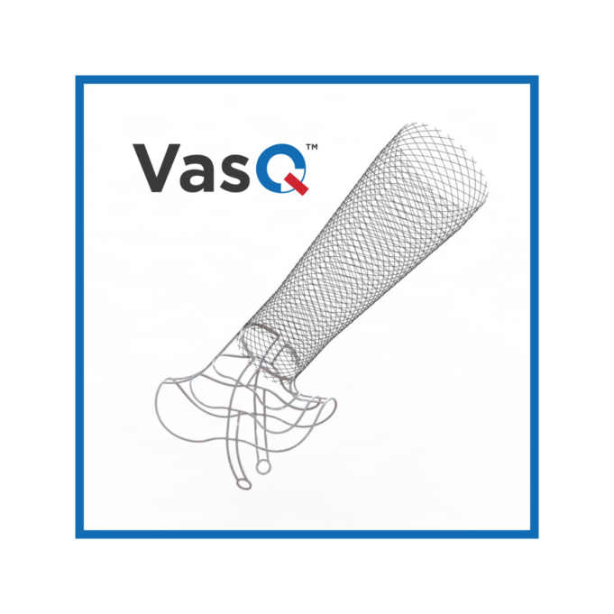VasQ: The next standard-of-care innovation - Renal Interventions