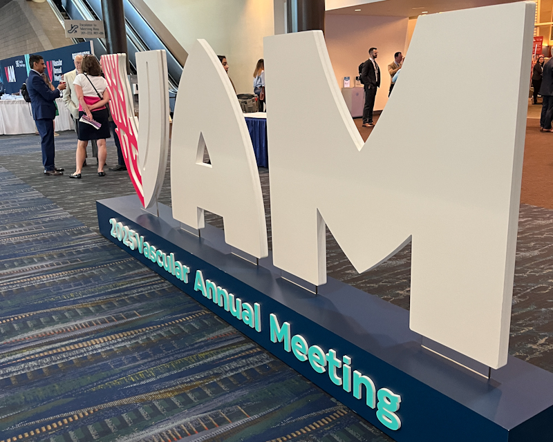 VAM 2025: ATEV shows promise in high-risk patients on haemodialysis ...